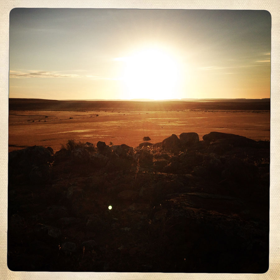 Izanne Wiid - Artist