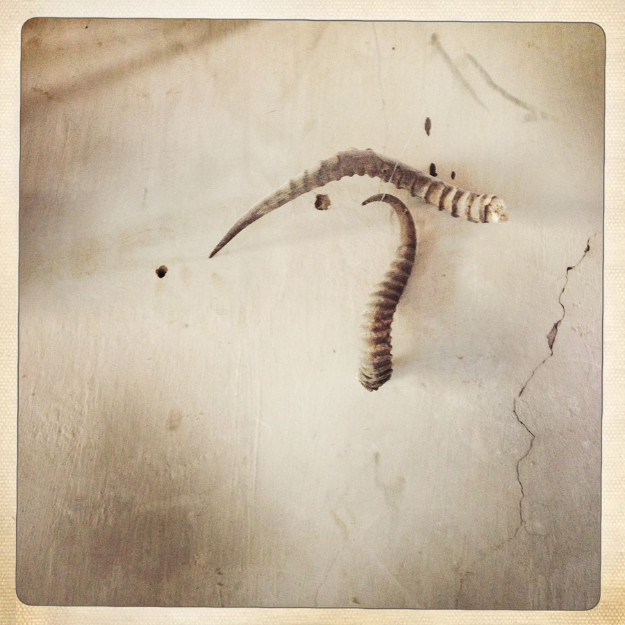 Izanne Wiid - Artist