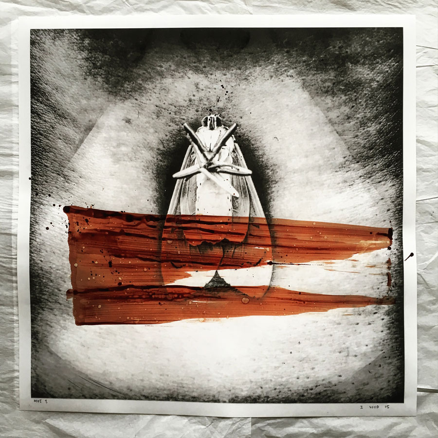 Izanne Wiid - Artist